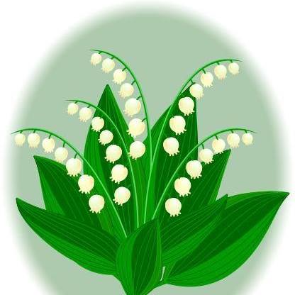 Washington Woman's Club Inc. - New Jersey State Federation of Women's ...